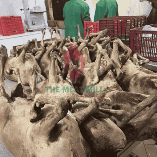 Fresh Large Full Goat 15kg - The MeatMill